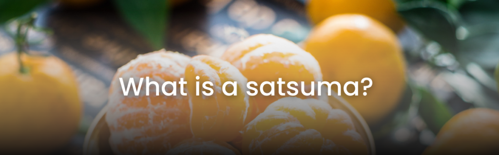 18th November What is a satsuma? | Dopplle